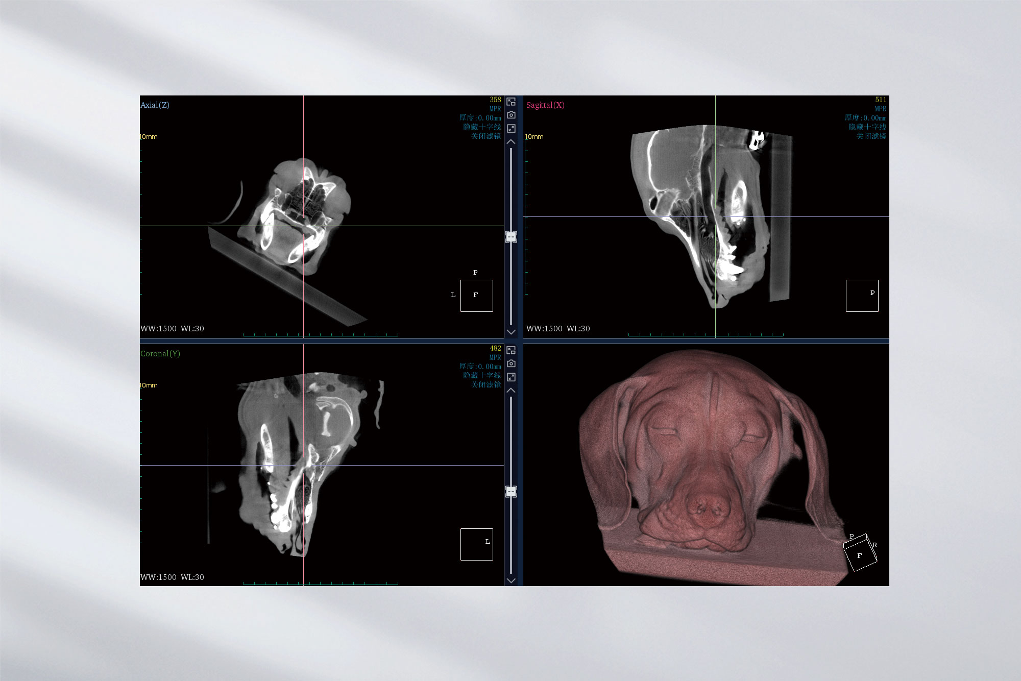 Veterinary Cone-beam CT